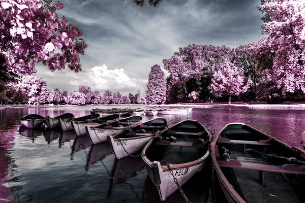 Create a Beautiful Infrared Effect in Photoshop – Photoshop Roadmap