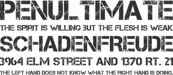 Capture it font family