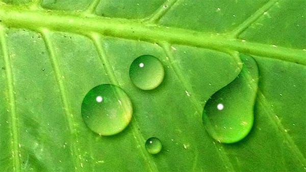 Create waterdrops in Photoshop